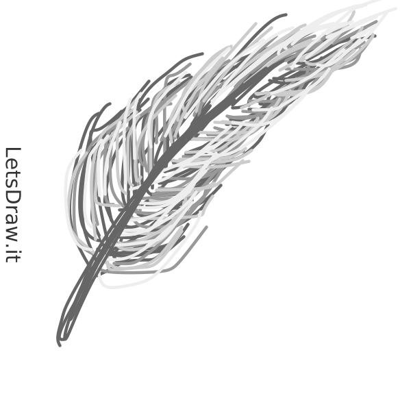 How to draw feather / he8u8ghwp.png / LetsDrawIt