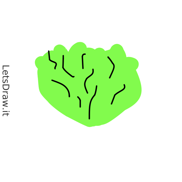 How to draw salad / LetsDrawIt