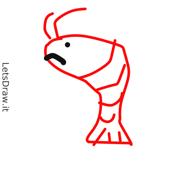 Como dibujar camarones / Aprende a dibujar de otros artistas de Letsdraw.it