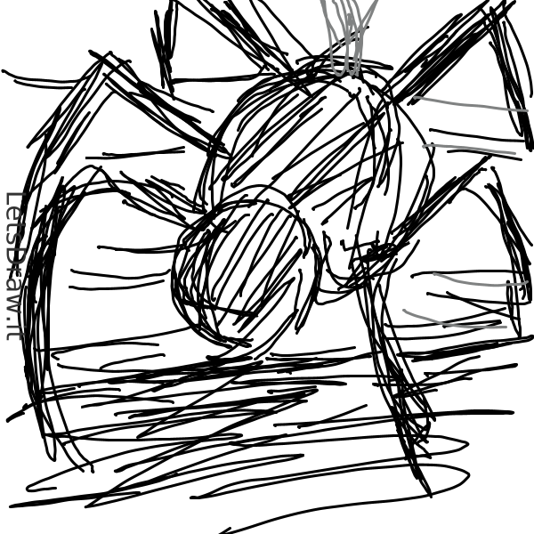 How to draw spider / hhh8nd9hk.png / LetsDrawIt