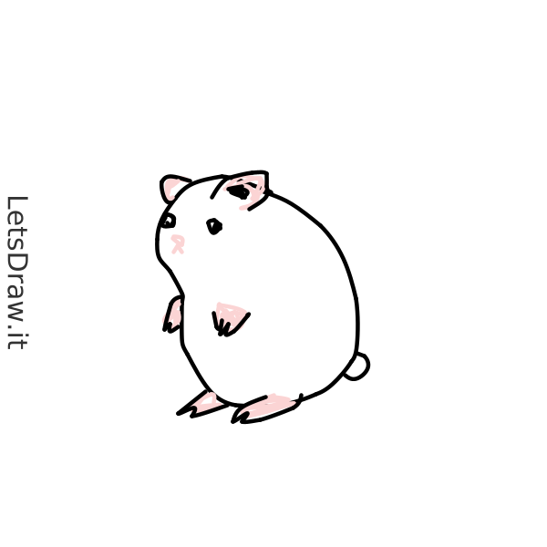 How to draw hamster / hofie5q8z.png / LetsDrawIt