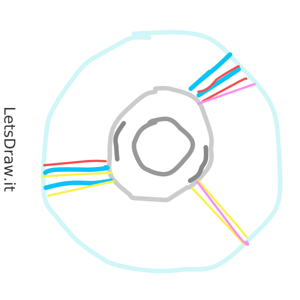 How to draw CD/DVD / hp4rm8mze.png / LetsDrawIt