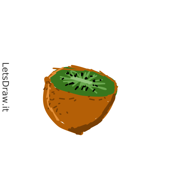 How to draw kiwi / htn5ra1i1.png / LetsDrawIt