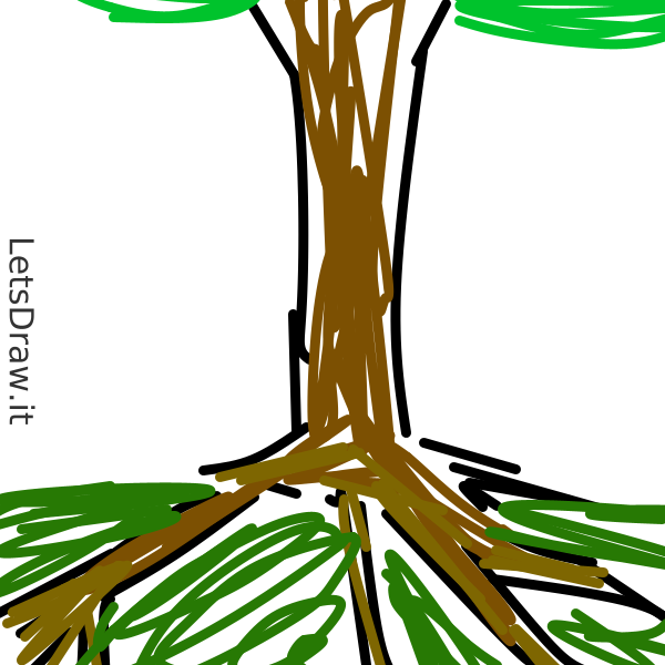 How to draw root / hxekmw4rj.png / LetsDrawIt