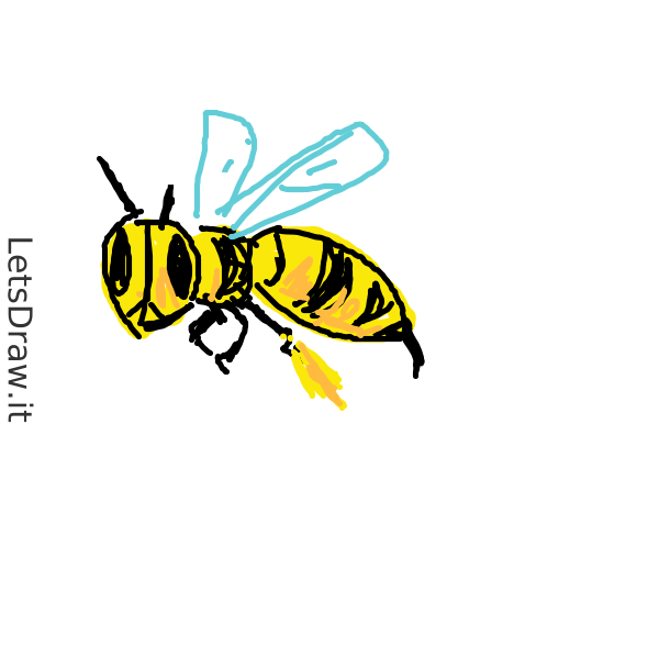 How to draw bee / hyuj8mstm.png / LetsDrawIt