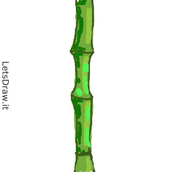How to draw bamboo / i15wtmwca.png / LetsDrawIt