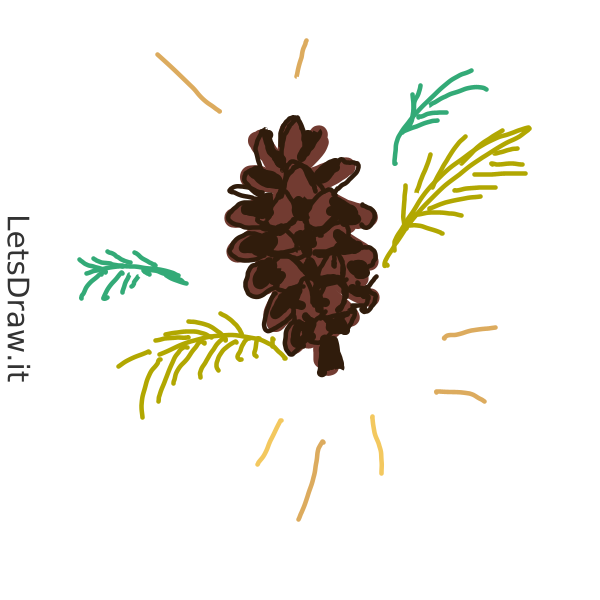 How to draw Pine cone / i3qbq6xjm.png / LetsDrawIt