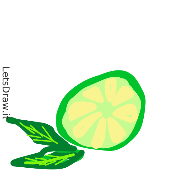 How to draw Lime / i5p3ppq5a.png / LetsDrawIt