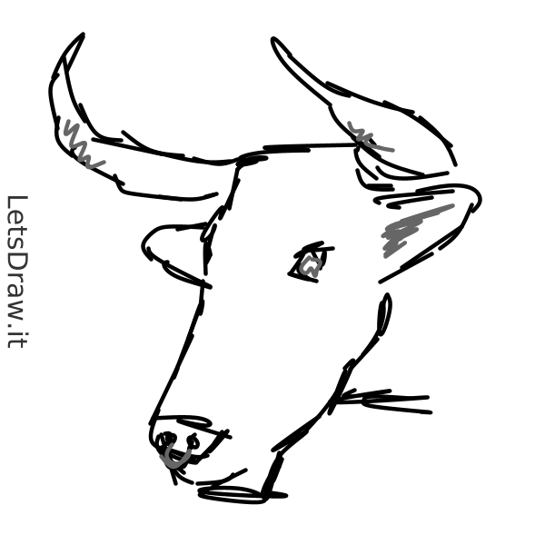 How to draw bull / iaednfw7n.png / LetsDrawIt