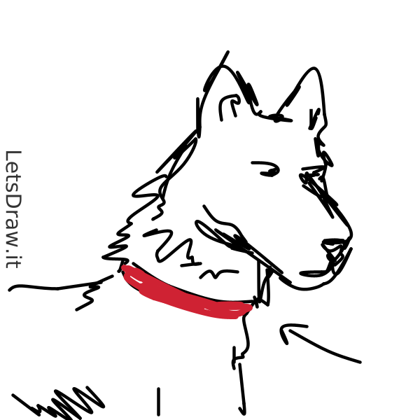How to draw dog collar / iahjd49n9.png / LetsDrawIt