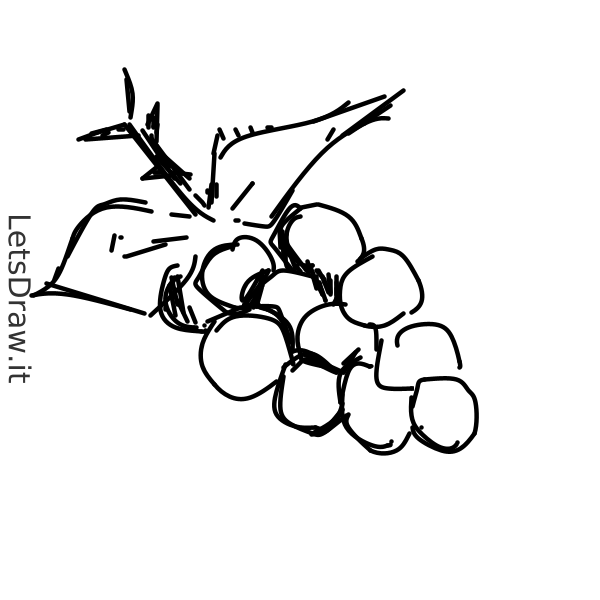 How to draw grapes / iaq1r1krx.png / LetsDrawIt