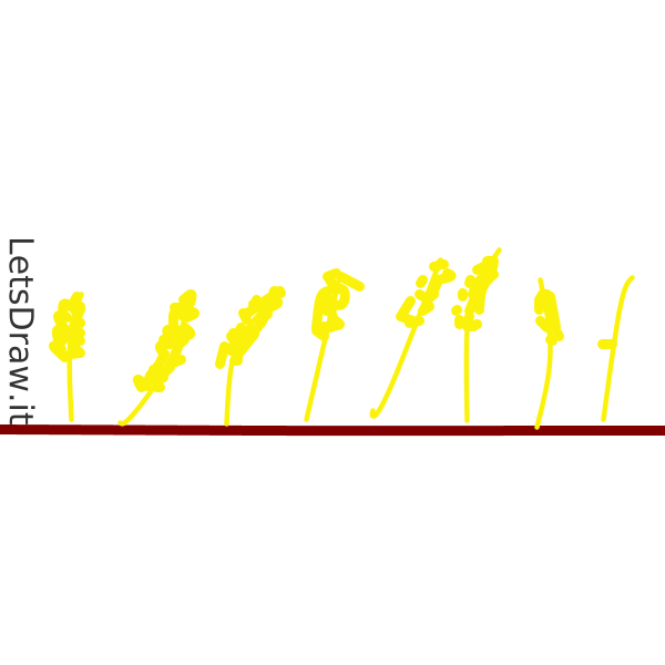 How to draw wheat / iceamaj7d.png / LetsDrawIt