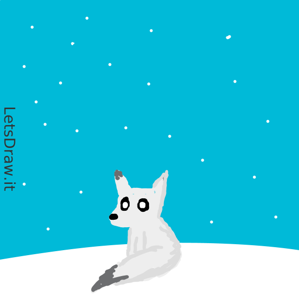 How to draw arctic fox / idcdx19pi.png / LetsDrawIt