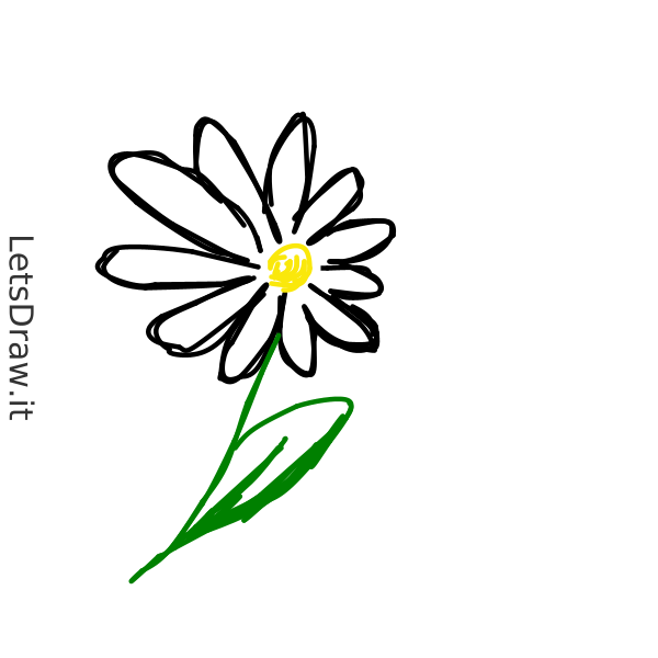 How to draw daisy / idew95uy.png / LetsDrawIt