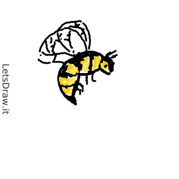 How to draw bee / idkr173mx.png / LetsDrawIt