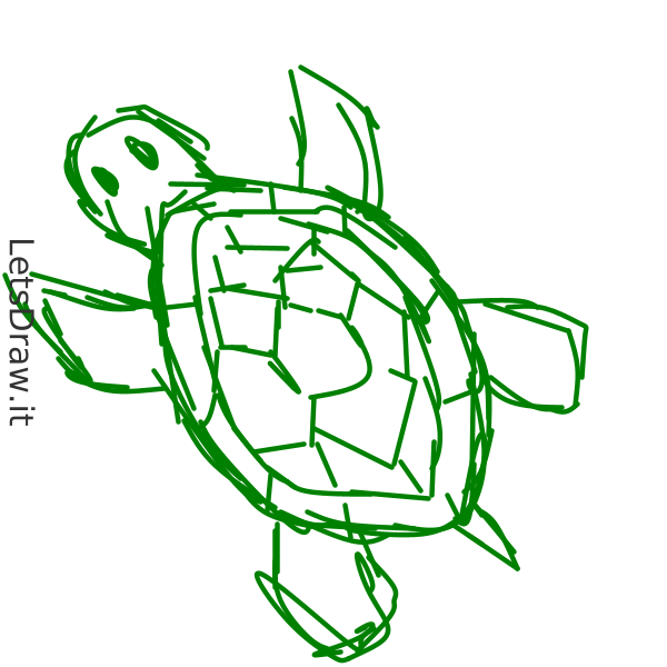 How to draw turtle / igeibrig7.png / LetsDrawIt