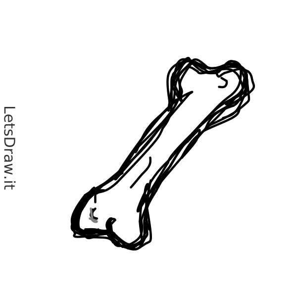 How to draw bone / ih8bbbhh3.png / LetsDrawIt