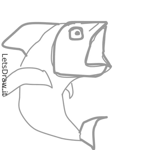How to draw fish / ioq9gwmsj.png / LetsDrawIt