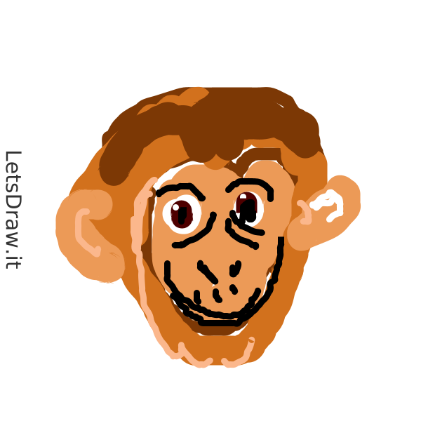 How to draw monkey / is5atds9y.png / LetsDrawIt