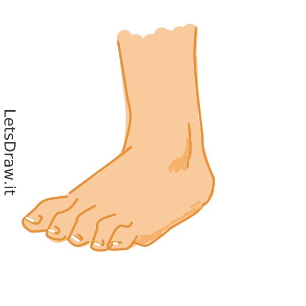 How to draw foot / itp6ecqsm.png / LetsDrawIt