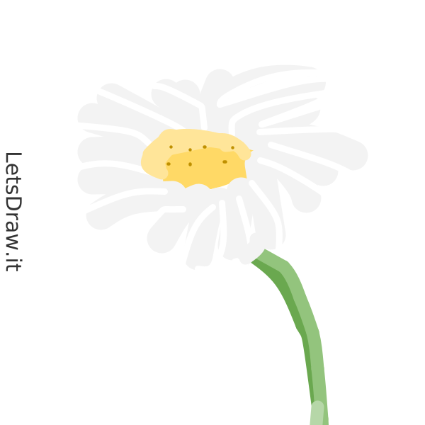 How to draw daisy / iwcanorxy.png / LetsDrawIt