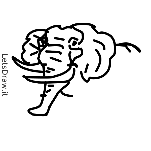 How to draw tusks / ixfgccd3c.png / LetsDrawIt