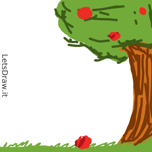 How to draw apple tree / j1aotkwf4.png / LetsDrawIt