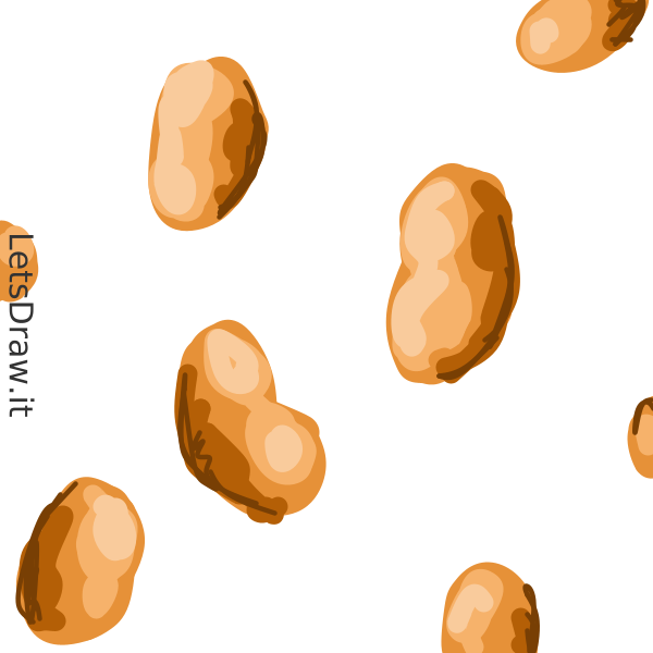 How to draw beans / j1bfexijr.png / LetsDrawIt