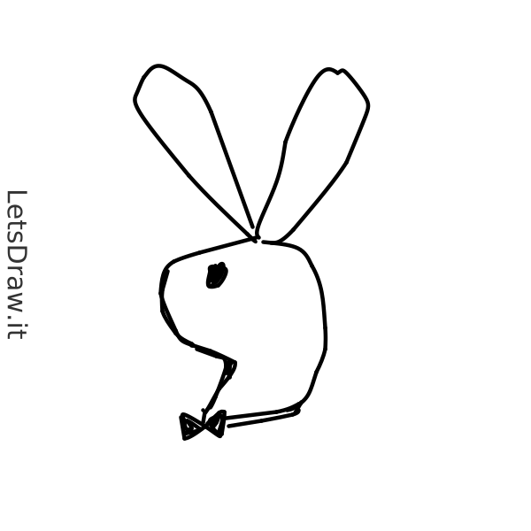 How to draw animal / j3qtew1ao.png / LetsDrawIt