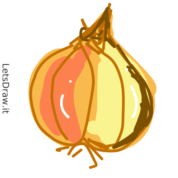 How to draw onion / j4ugcncwe.png / LetsDrawIt
