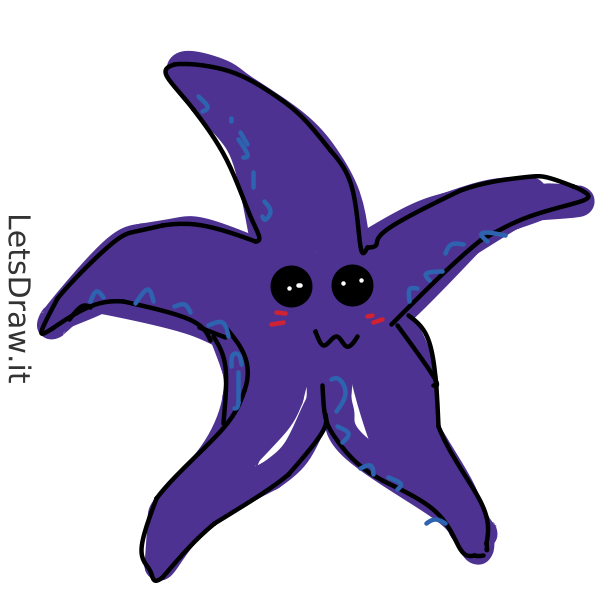 How to draw starfish / j5k3fbo15.png / LetsDrawIt