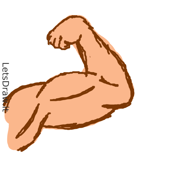 How to draw muscles / j74at415f.png / LetsDrawIt