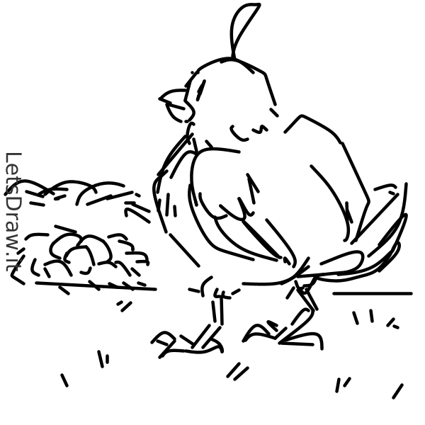 How to draw hen / j7kcf38zs.png / LetsDrawIt