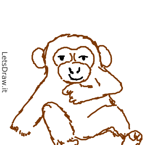 How to draw monkey / j9onof4xc.png / LetsDrawIt