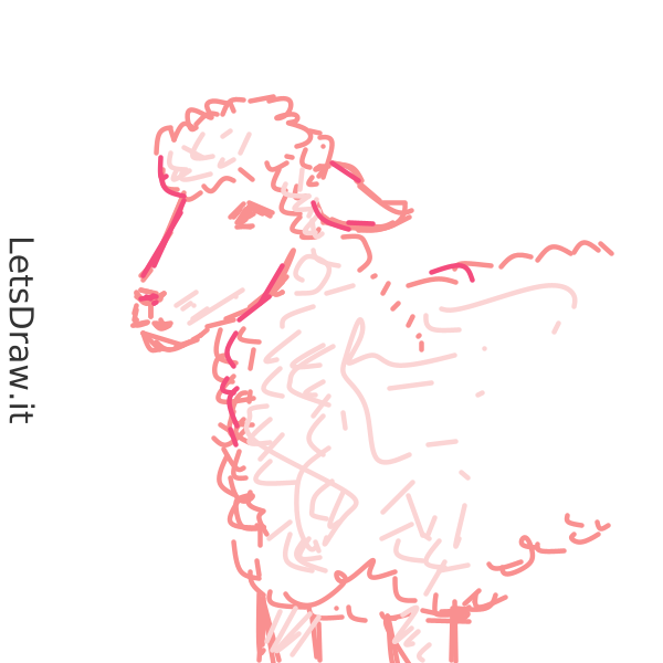 How to draw sheep / jb61kb1wb.png / LetsDrawIt