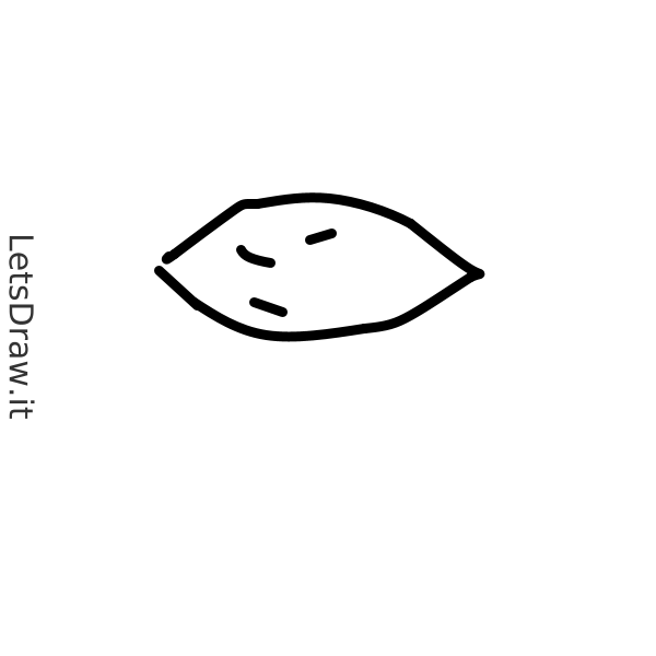 How to draw almond / jf6rpdrw6.png / LetsDrawIt