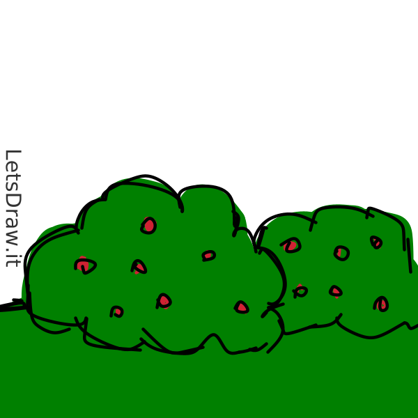 How to draw Bushes / jhr1rd5f9.png / LetsDrawIt