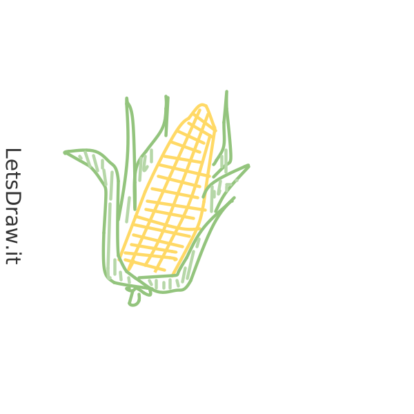 elote dibujo / jnoaguyqa.png / LetsDrawIt
