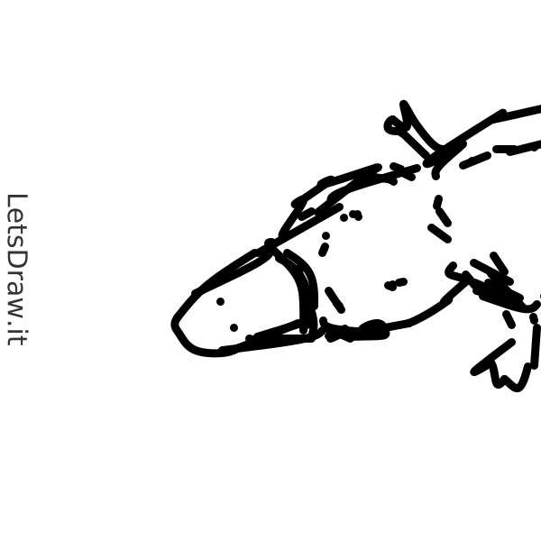 How to draw platypus / jpnsctpnm.png / LetsDrawIt