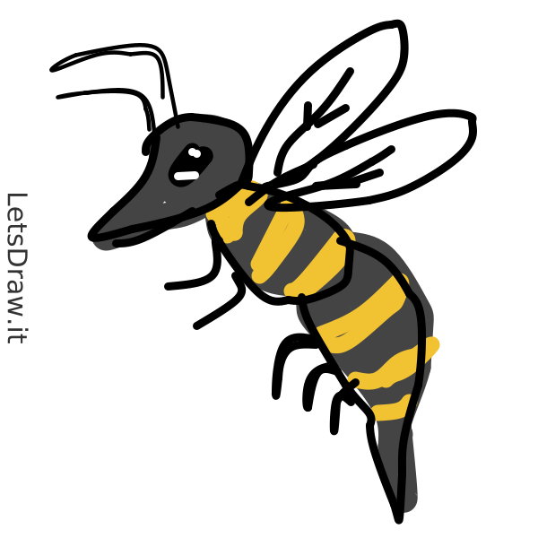 How to draw wasp / LetsDrawIt