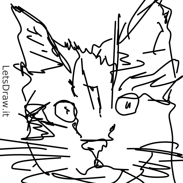 How to draw cat / jtb6bayxj.png / LetsDrawIt