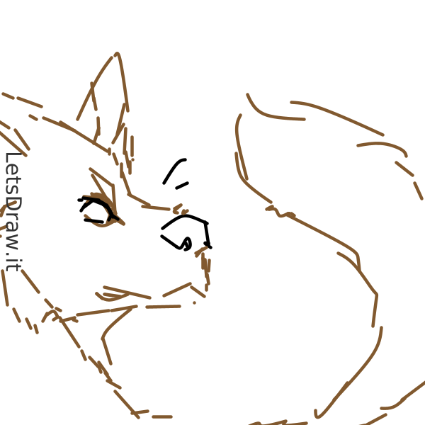 How to draw animal / LetsDrawIt