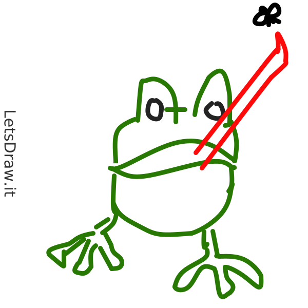 How to draw frog / jwupmk5xs.png / LetsDrawIt