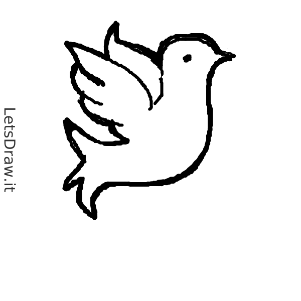 Simple Dove Drawings Pencil