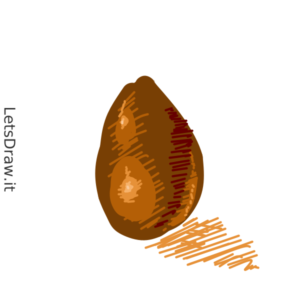 How to draw Almond / jy6cgee1m.png / LetsDrawIt