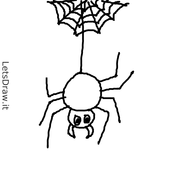 How to draw spider / k3jjxxhcn.png / LetsDrawIt