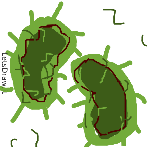 How to draw bacteria / k64qtrced.png / LetsDrawIt