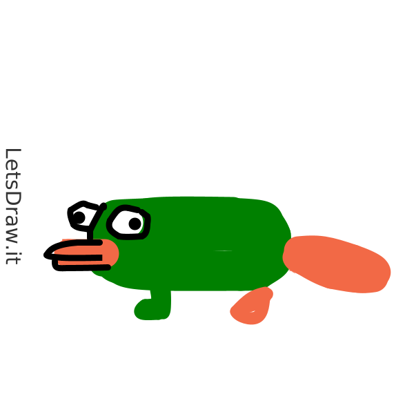 How to draw platypus / ka43b3yhm.png / LetsDrawIt