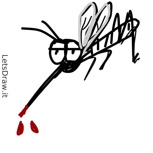 How to draw mosquito / kbjqeyyoq.png / LetsDrawIt