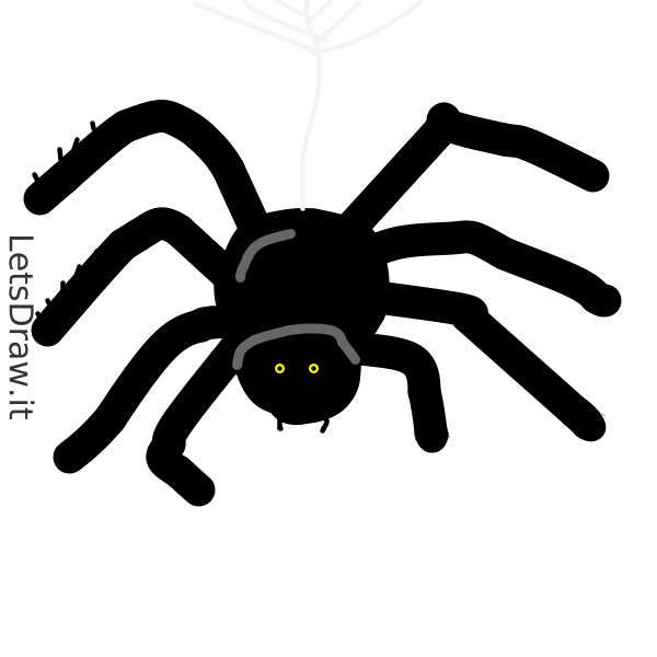 How to draw spider / kbwpeq7ow.png / LetsDrawIt